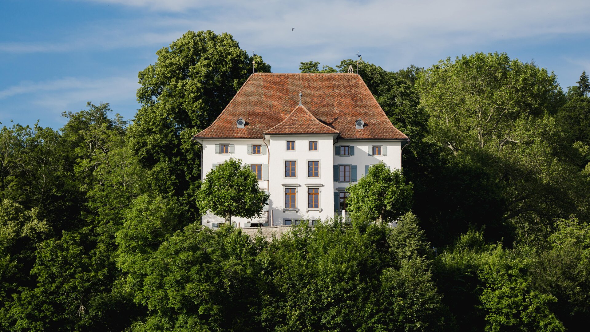 Schloss Rued (AG) : vente aux enchèr… | LocalAuction Magazin